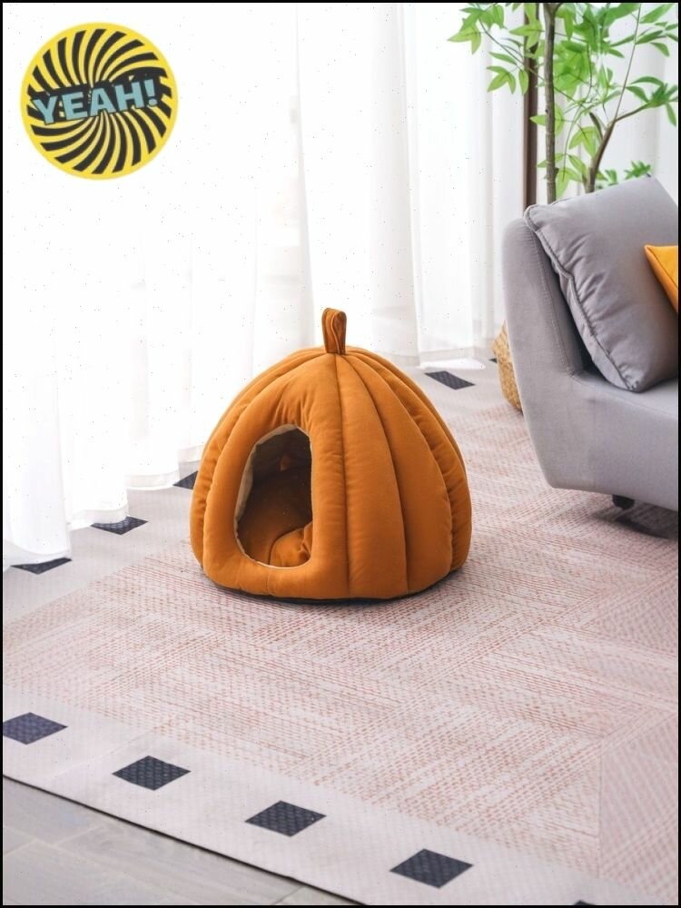 Четыре цветных питомника для тыквы на хэллоуин