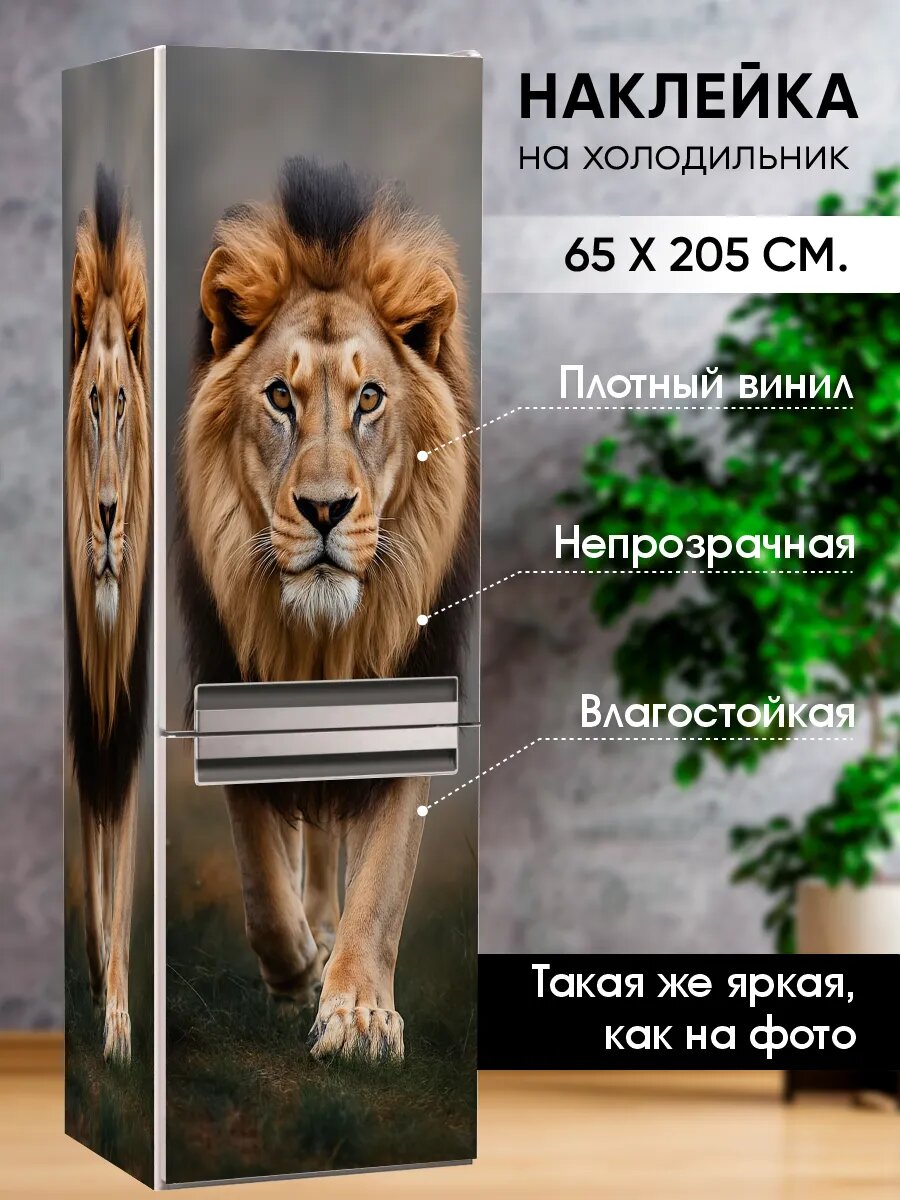 Наклейка интерьерная на холодильник "Лев", виниловая, 65 х 205 см.