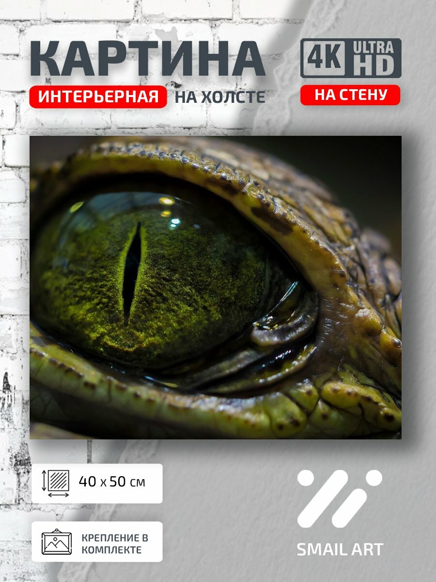 Картина на холсте интерьерная 40 на 50 на стену Глаз Macro для офиса макро интерьер декор