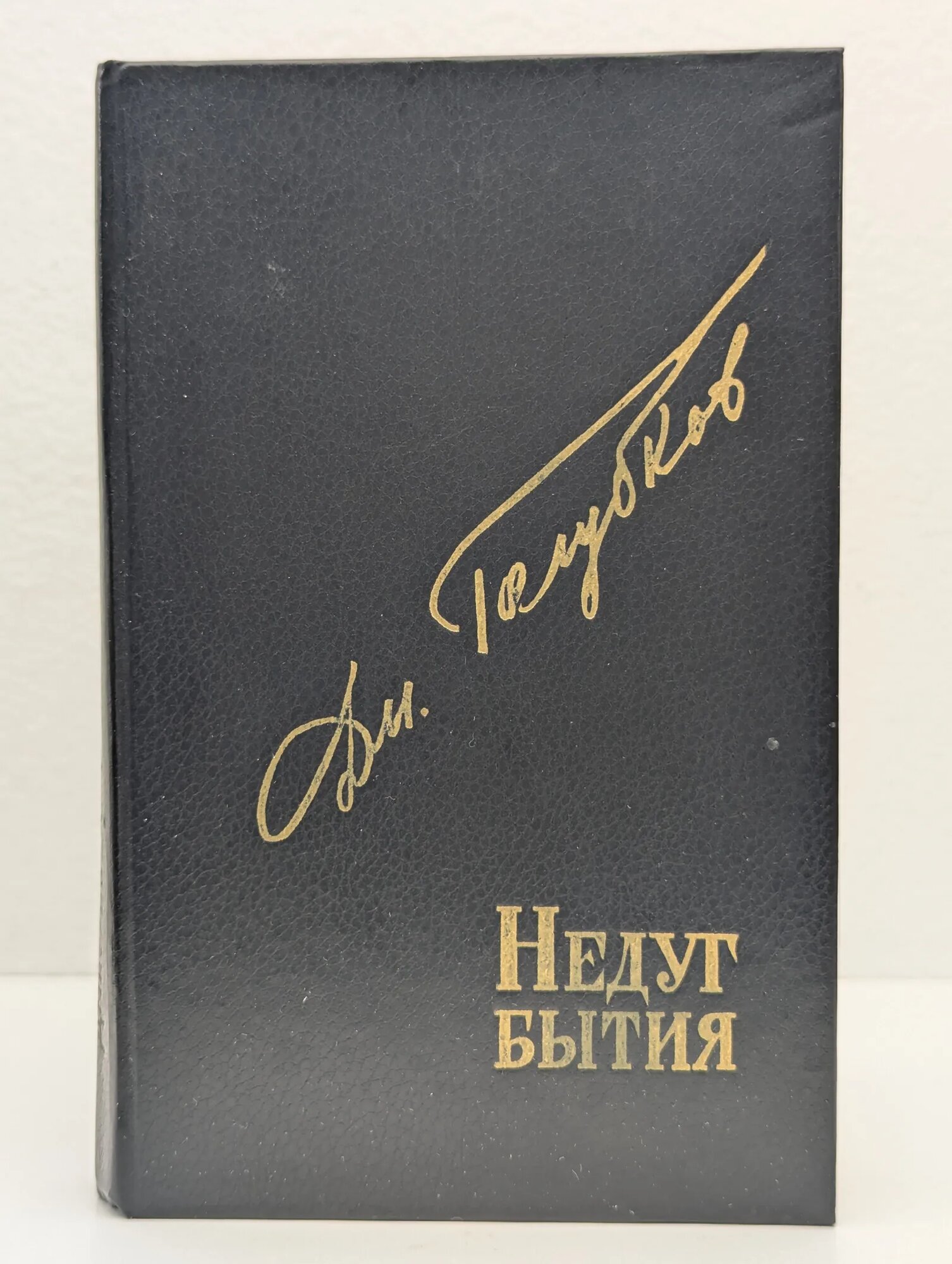 Недуг бытия Голубков Дмитрий Николаевич 1974