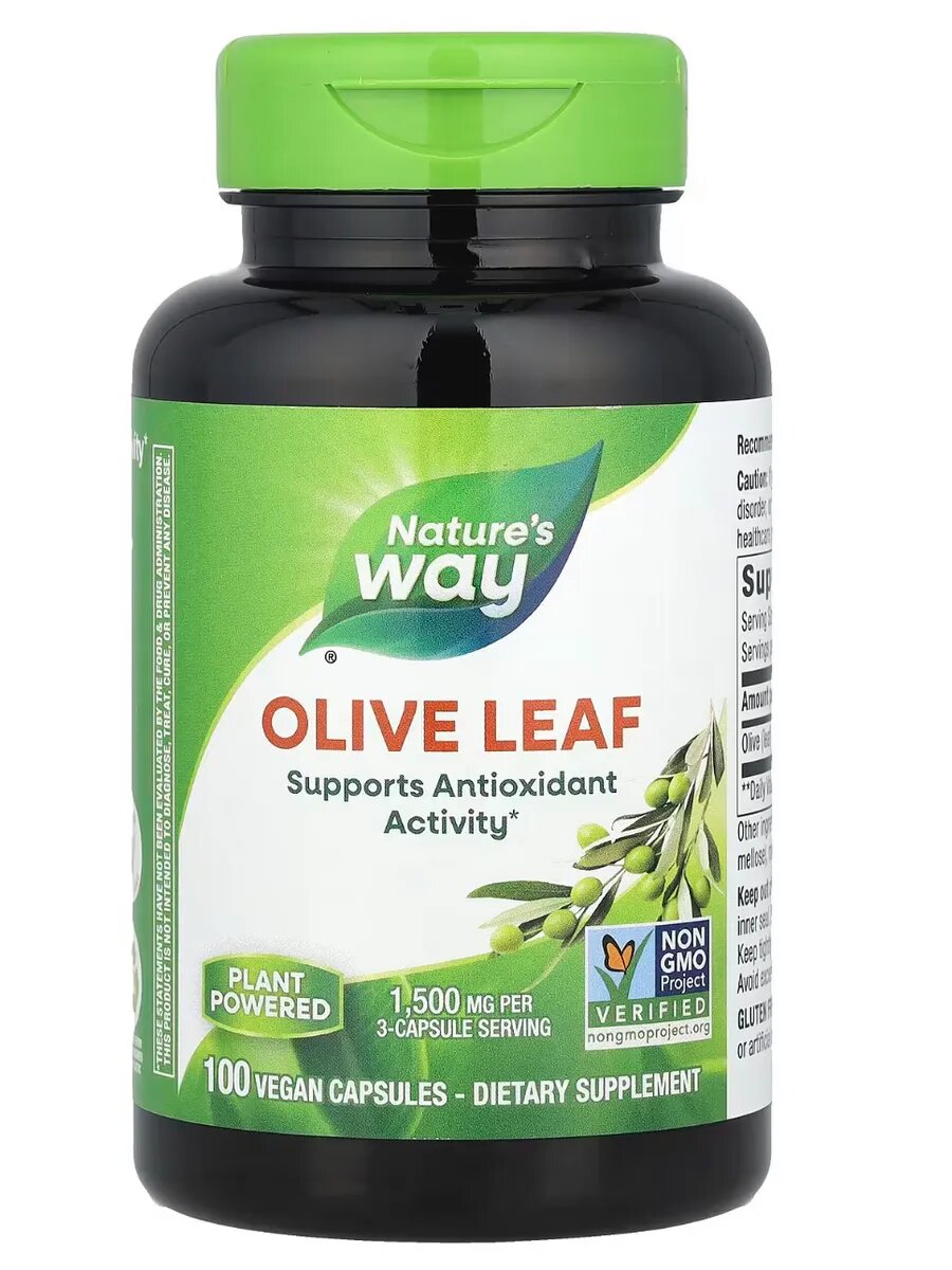 Лист оливы olive leaf противовирусный противогрибковый