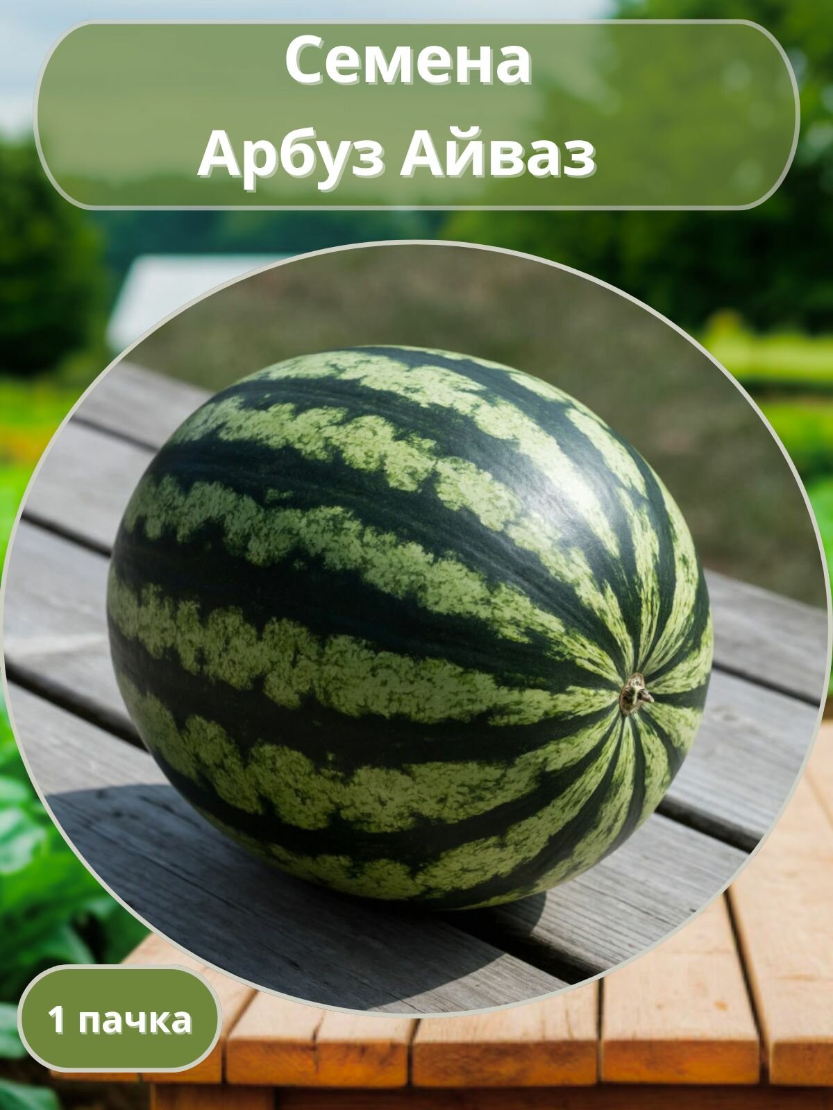 Арбуз Айваз, семена 10 шт