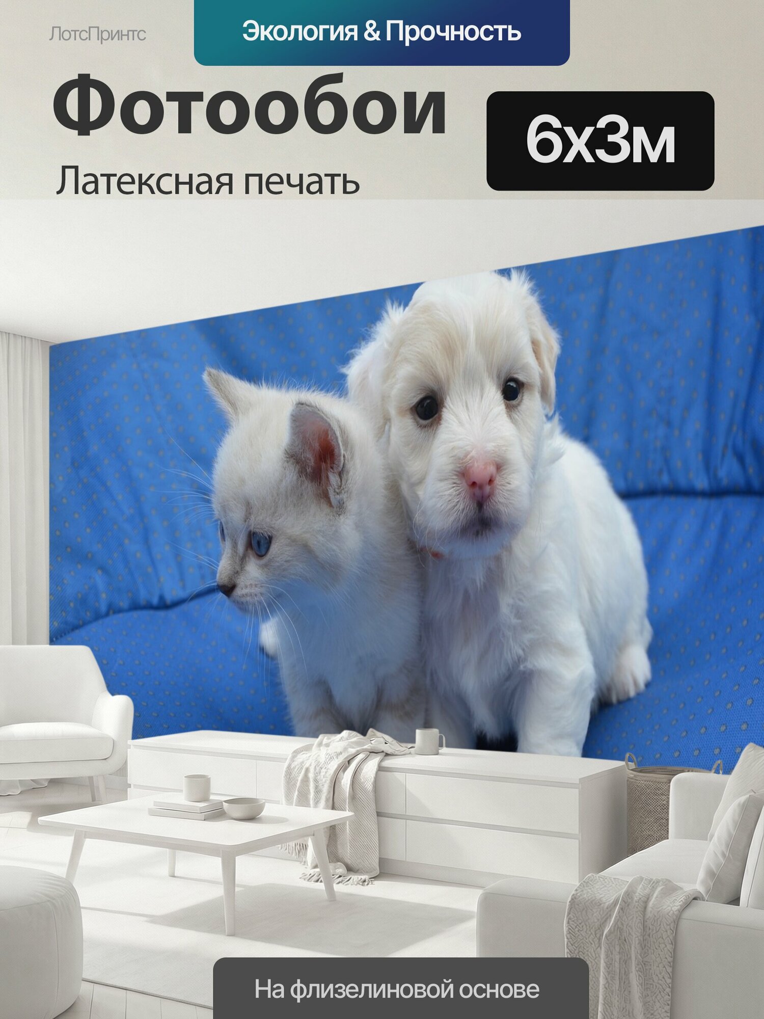 Фотообои моющиеся ударопрочные "Котенок щенок, щенок котенок, собака кошка" 600x300 см. латексная печать