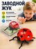 Заводная игрушка