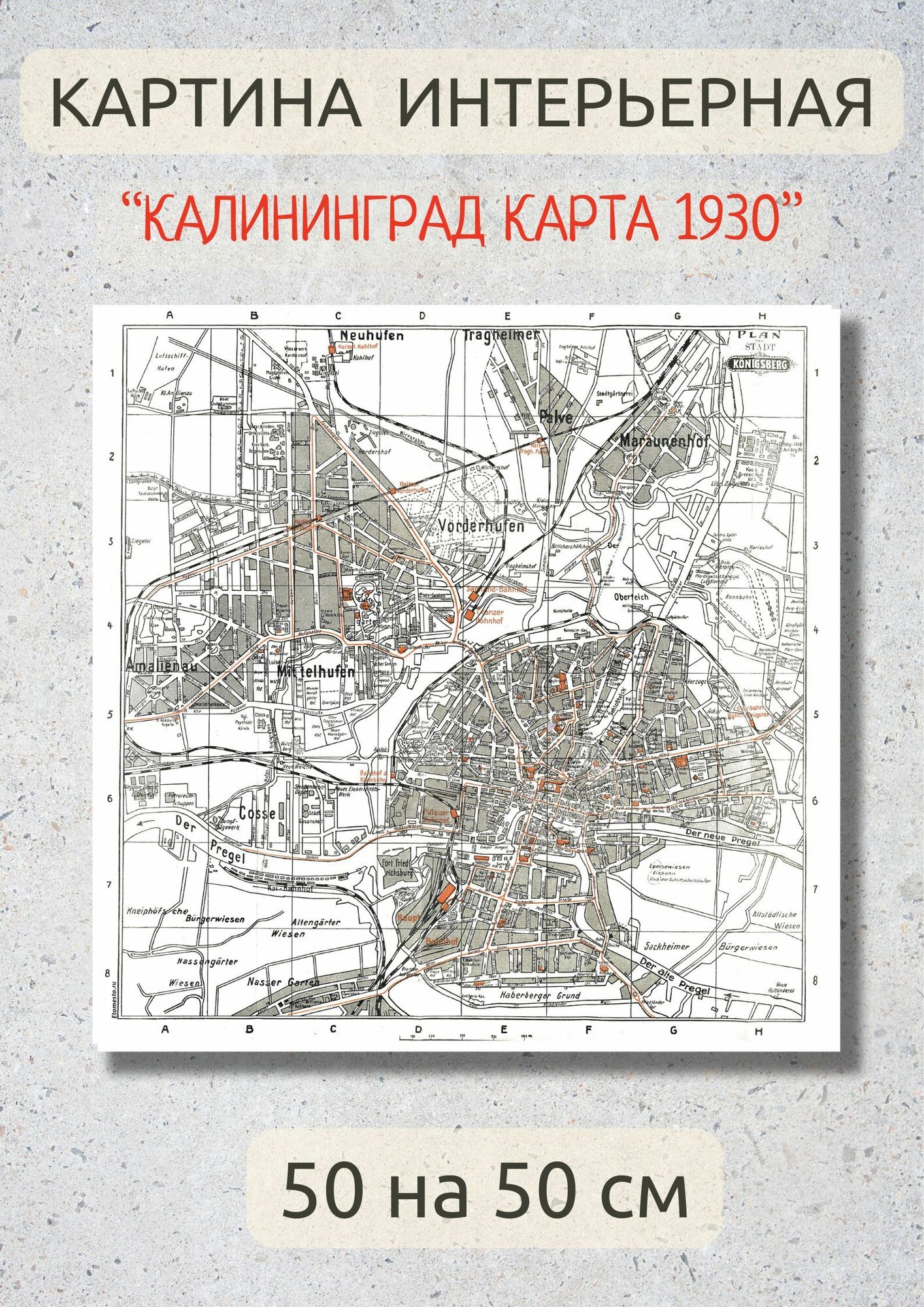 Картина с планом города "Карта будущего Калининграда в 1930 году" 50х50 холст