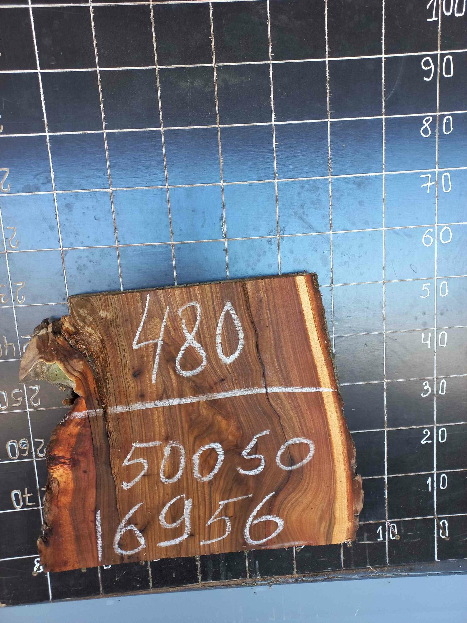 Слэб дерева твёрдых пород Карагач №16956, 5*48*50 см, доклес