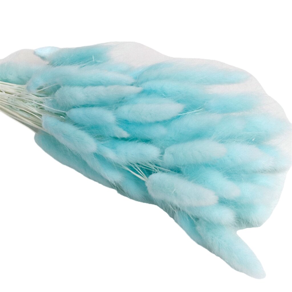 (1 пучок из 55) Сушеная трава хвоста кролика