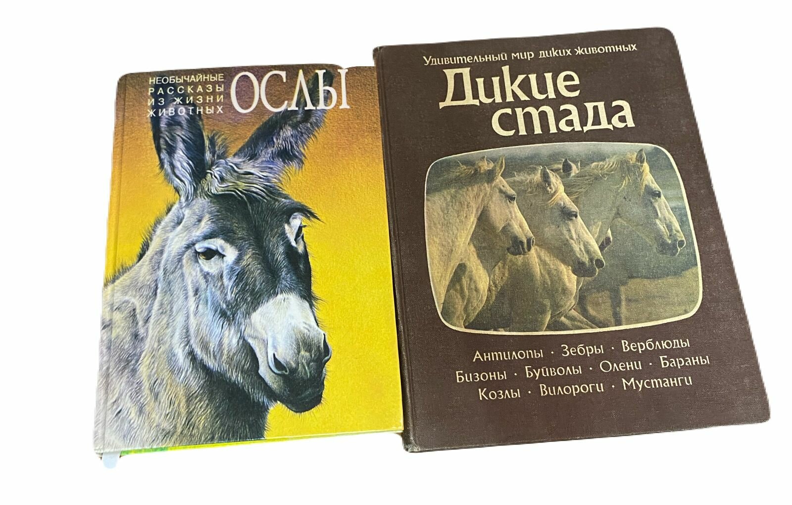 Набор из 2-х книг: Ослы 1994/ Дикие стада 1984