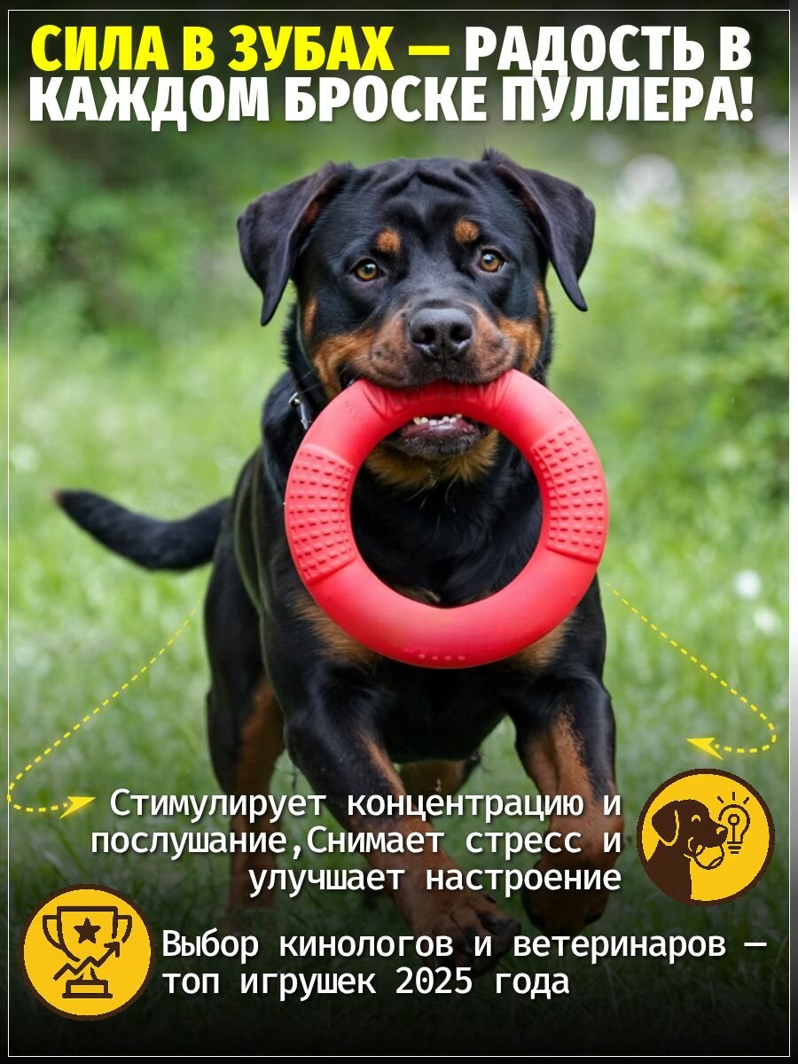 Кольцо-пуллер 28 см, красное — эластичная и прочная игрушка для активных игр и дрессировки средних и крупных собак, без вреда для зубов