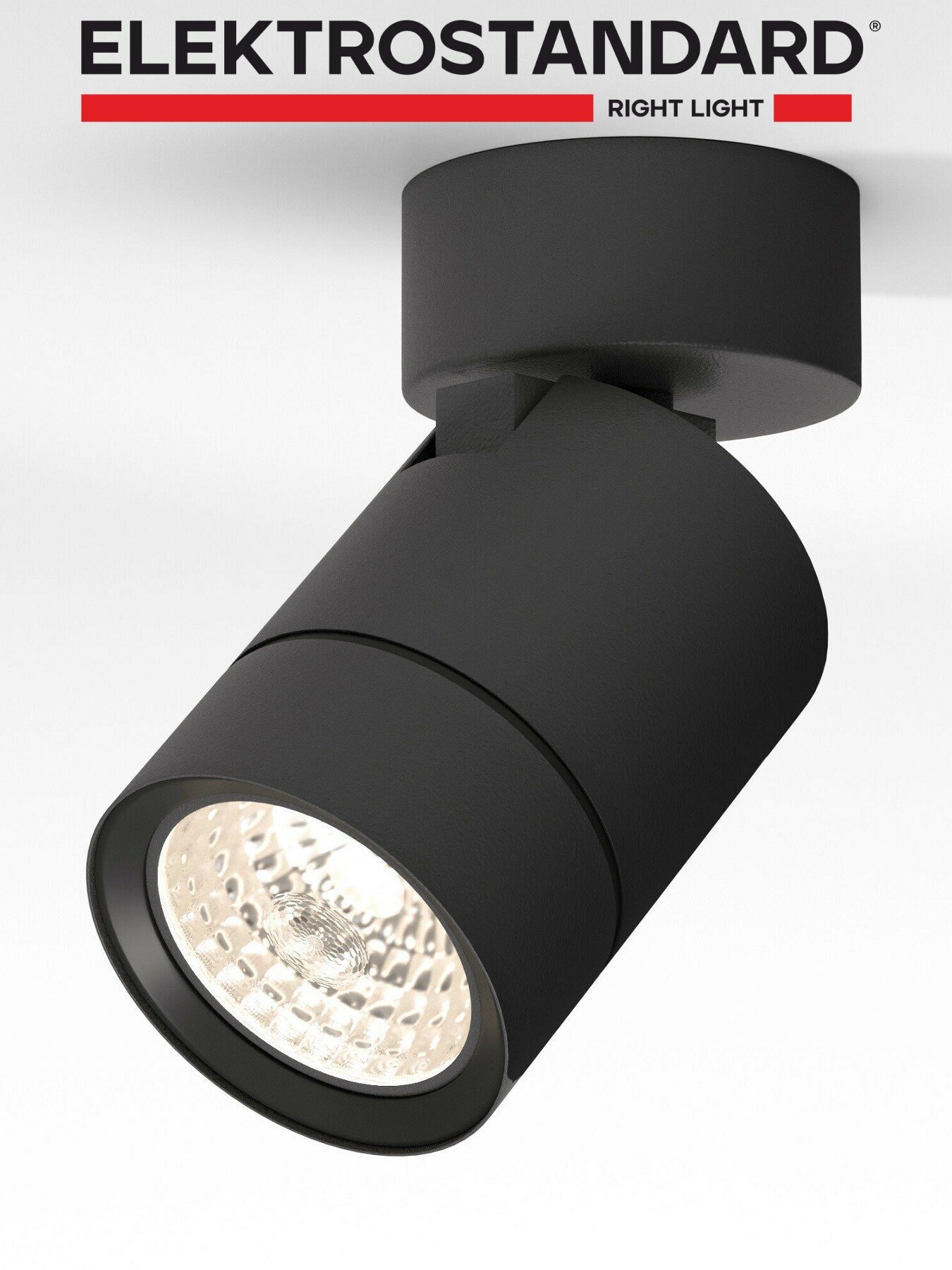 Спот / Настенно-потолочный светильник с поворотным плафоном Elektrostandard Niro 25013/01, GU10, цвет черный