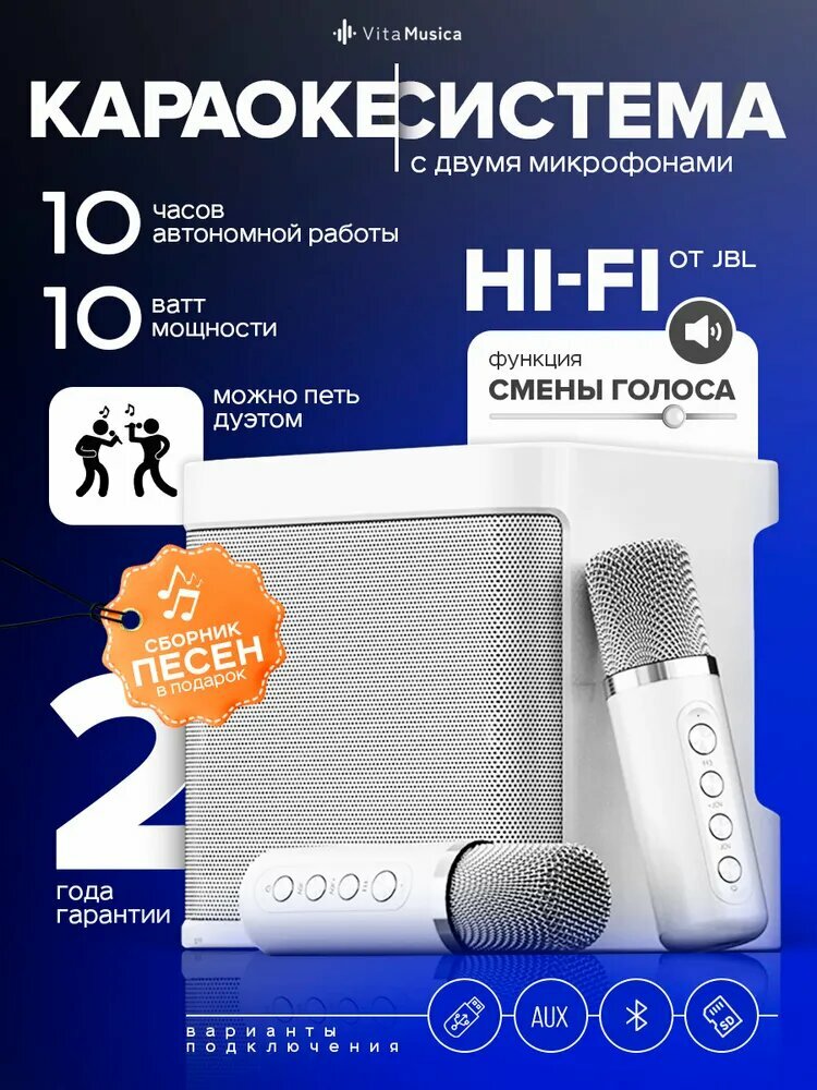 Караоке система Vita Musica с двумя беспроводными микрофонами