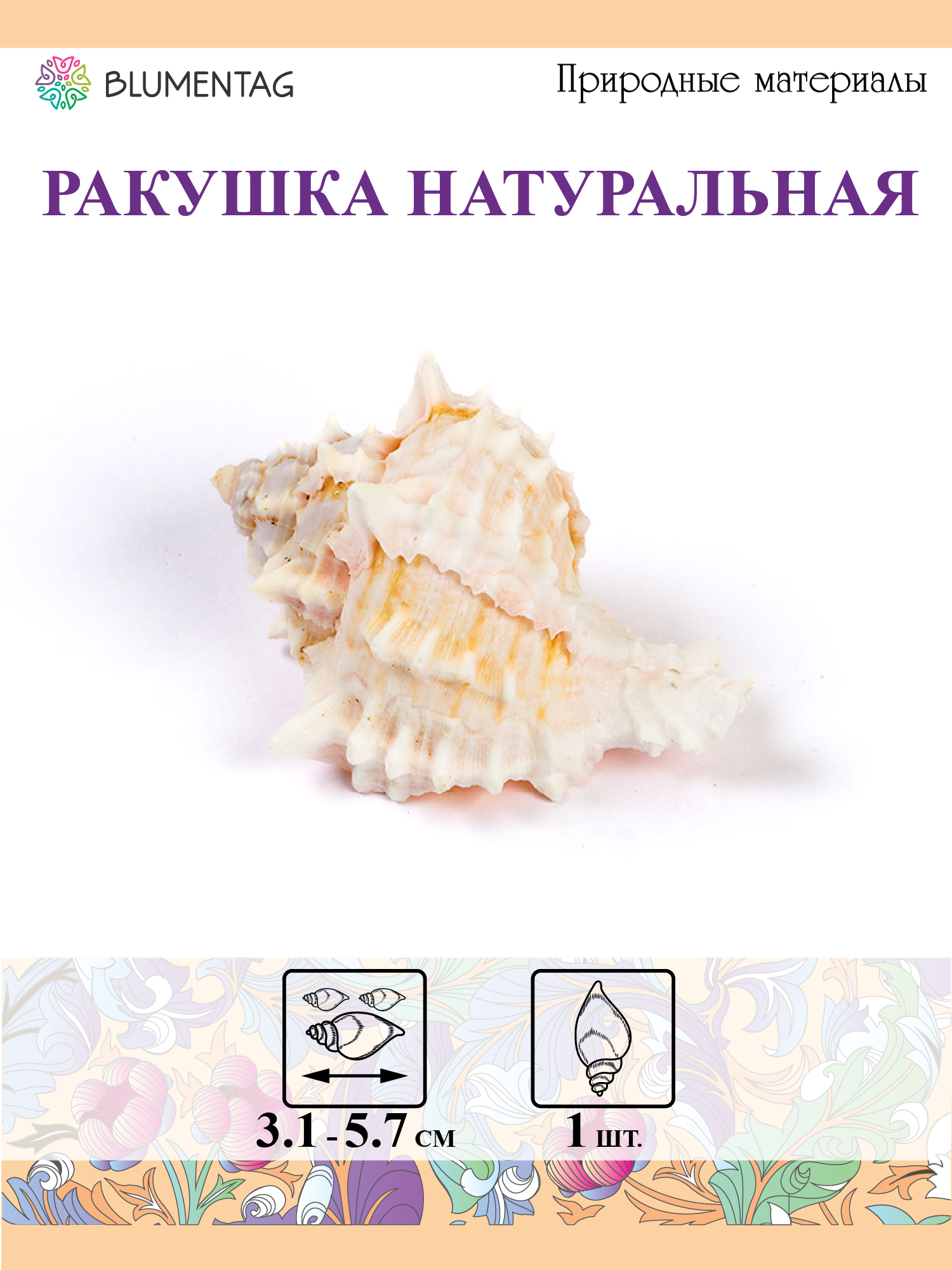 Ракушки морские 1 шт. "Blumentag" DRF-014М Pink Murex Asstd
