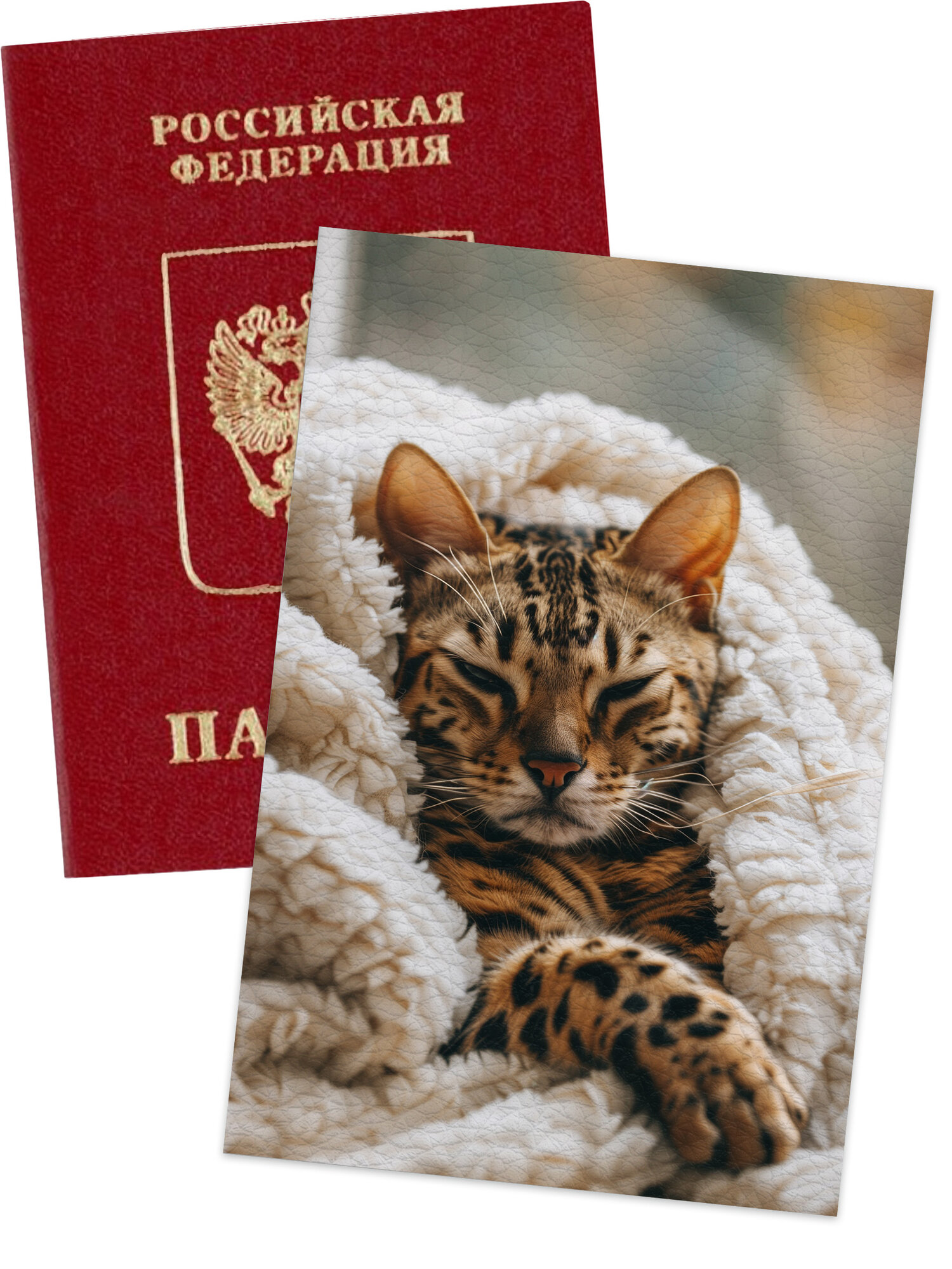 Обложка для паспорта