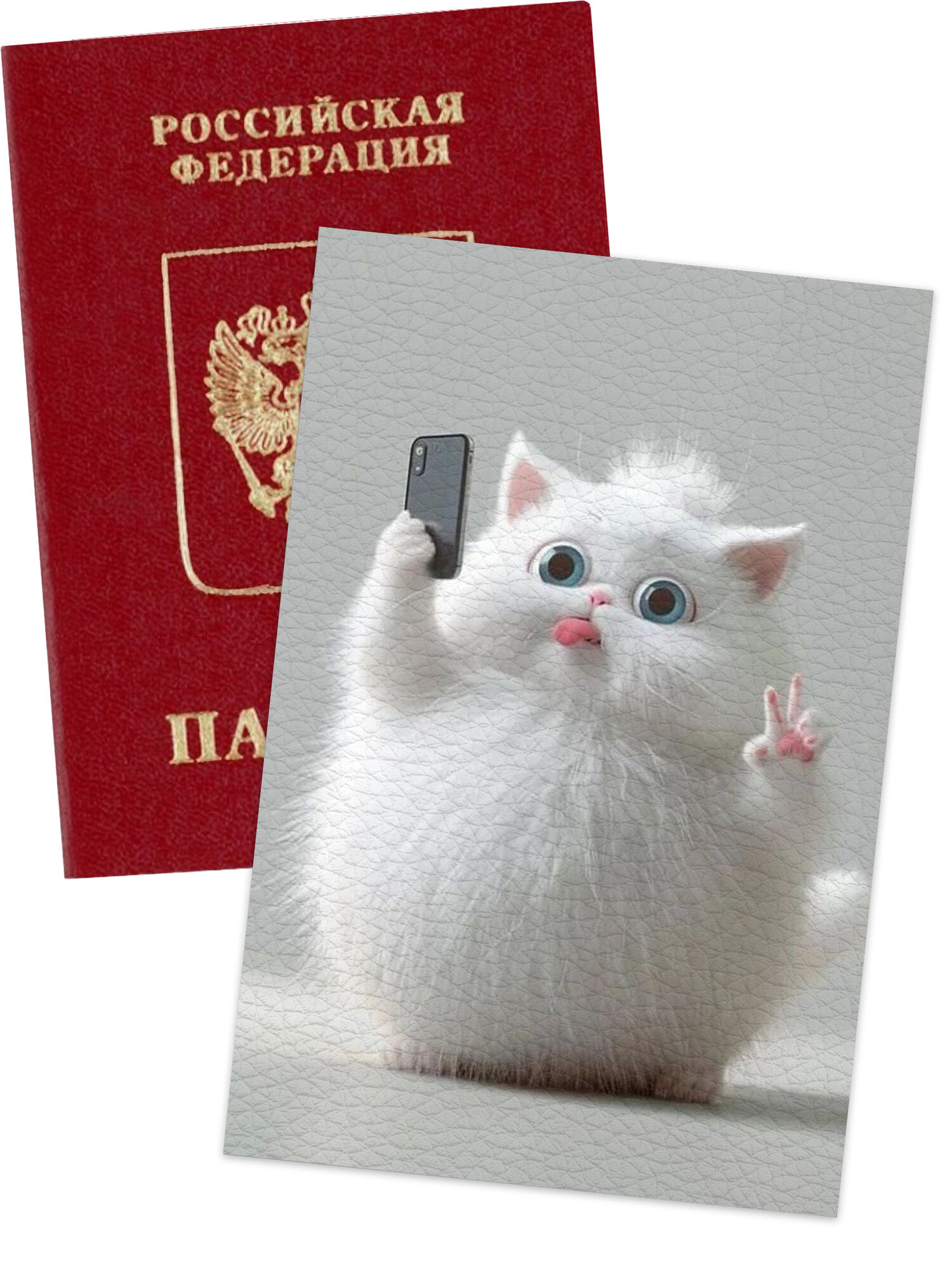 Обложка для паспорта