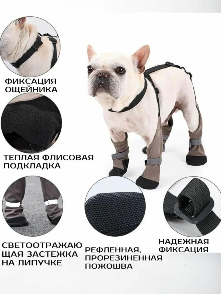 Сапожки для собак с подтяжками / размер S 65 см - 75 см Малыши тибетского болончая, помераньский псом