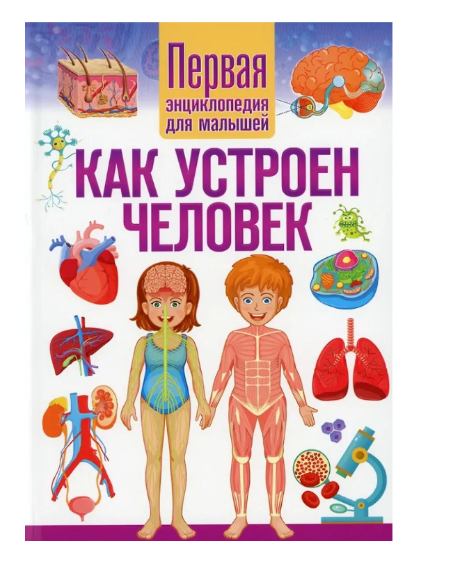 Как устроен человек? (Энциклопедия для детского сада) 42336