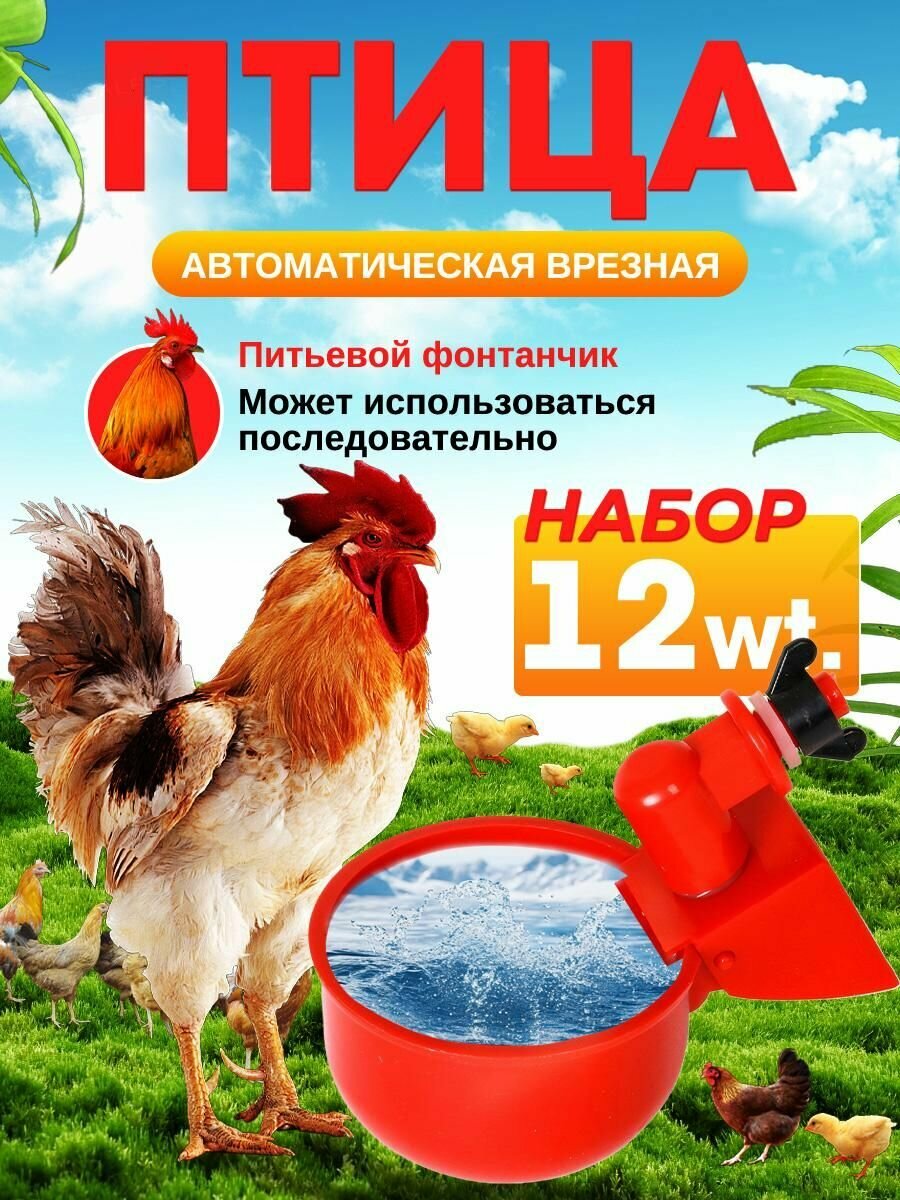 Набор из 12 голубых автоматических кормушек для кур, уток, гусей, индюков и кроликов