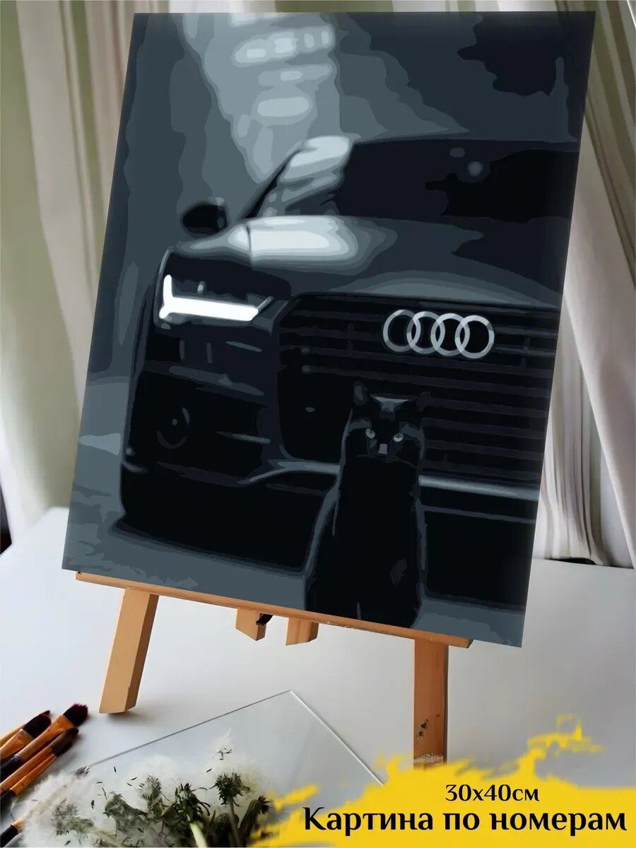 Картина по номерам ауди кот