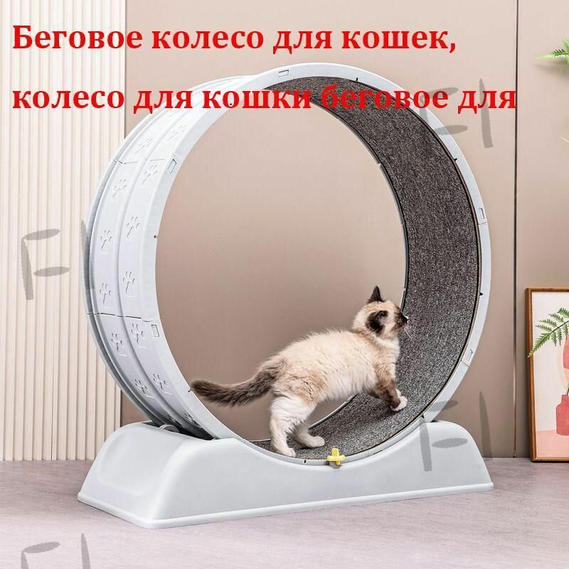 Игрушка для животных — фото 1