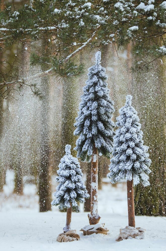 Настольная ёлка канадиан с натуральным стволом, заснеженная, хвоя ПВХ, 65 см, Decorland DC2030