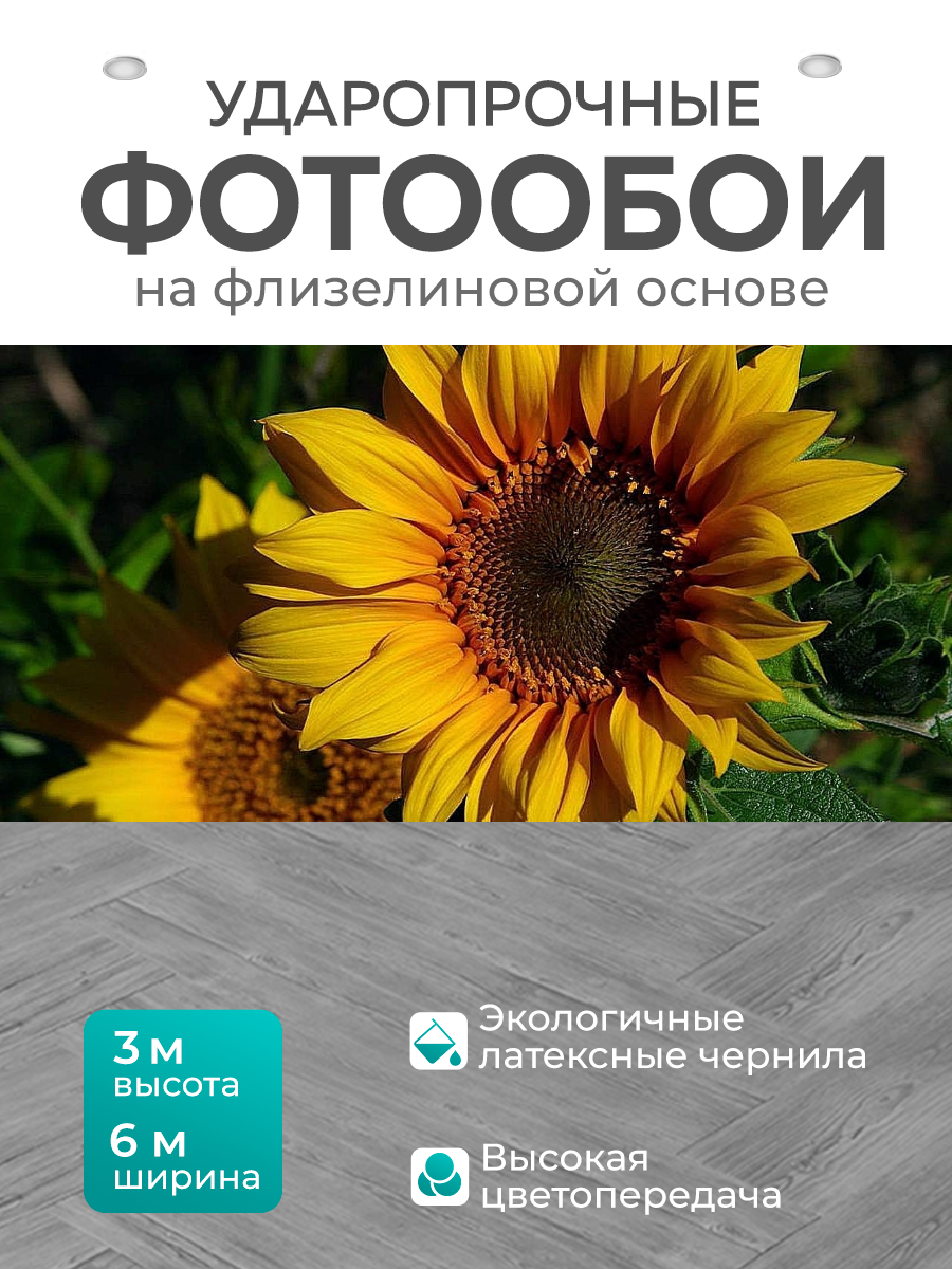 Фотообои моющиеся ударопрочные "Подсолнухи, цветы, растения" 600x300 см. флизелиновые на стену