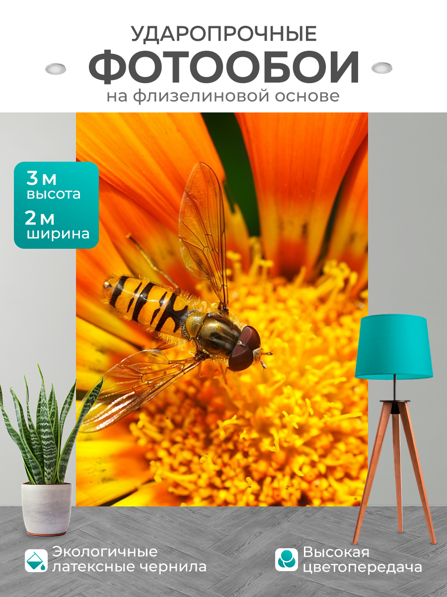 Фотообои моющиеся ударопрочные "Насекомые, медовый, пчелы" 200x300 см. флизелиновые на стену