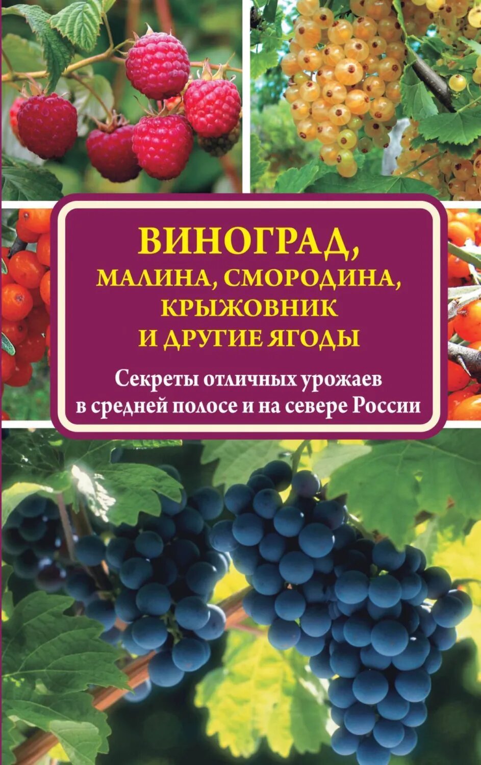 Виноград, малина, смородина, крыжовник и другие ягоды [Цифровая книга]