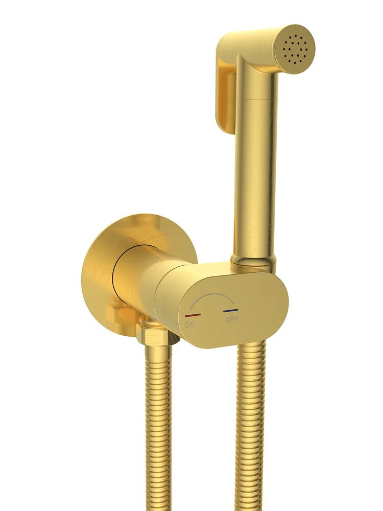 Гигиенический душ Weltwasser Higi R01 MGL встраиваемый, скрытого монтажа, со смесителем, матовый, латунь, рычажный, с защитой от обратного потока, смеситель для биде