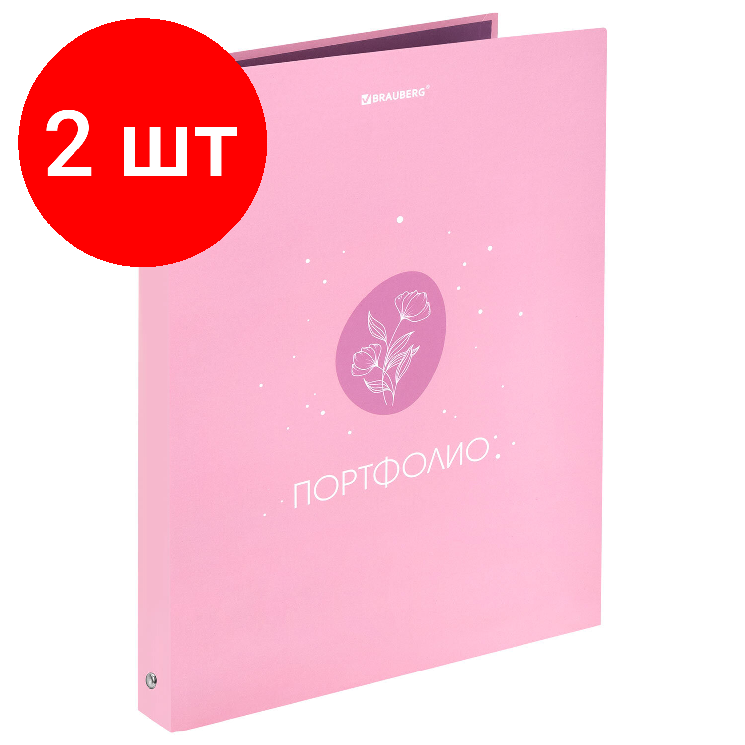 Комплект 2 шт, Папка-портфолио универсальная, 4 кольца, 20 файлов 10 вкладышей, 7БЦ матовая, BRAUBERG, Дизайн2, 117558