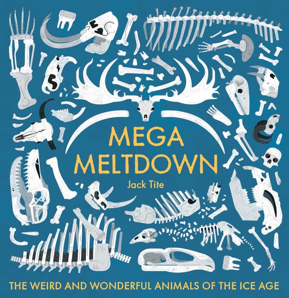 Mega Meltdown: The Weird and Wonderful Animals of the Ice Age. Tite J.