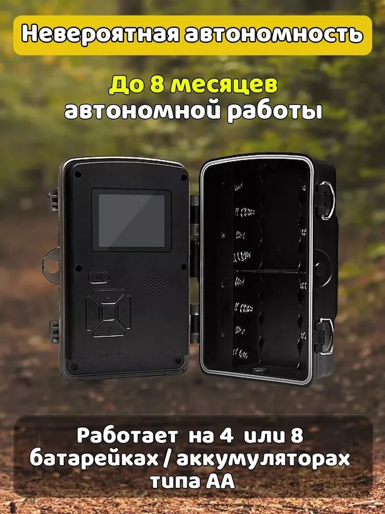 Фотоловушка — фото 1
