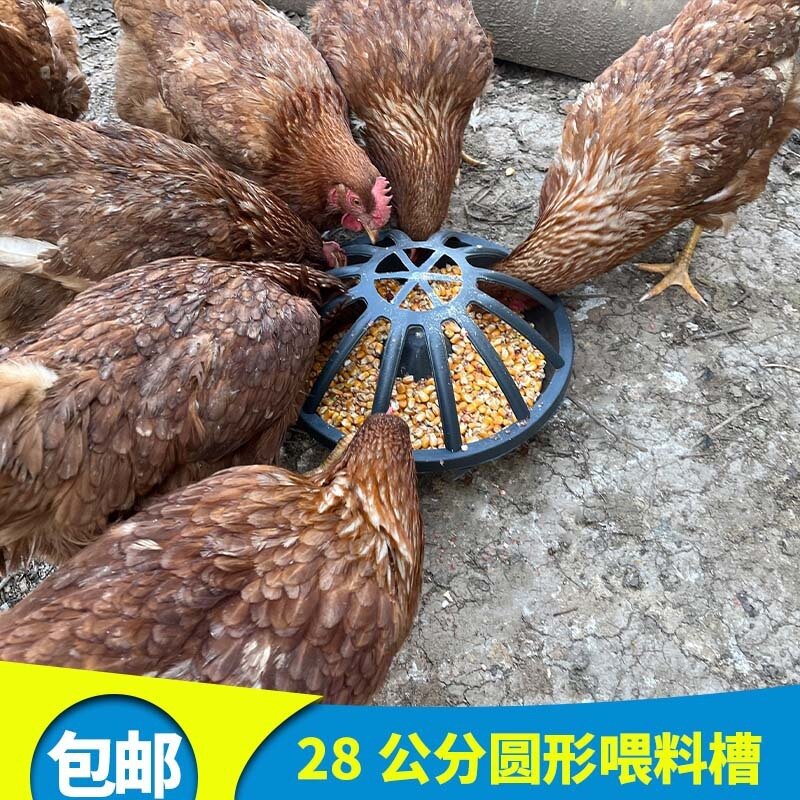 Кормушка для кур, кормушка для поросят, кормушка для отлучения поросят, кормушка для кур, уток и гусей, новая