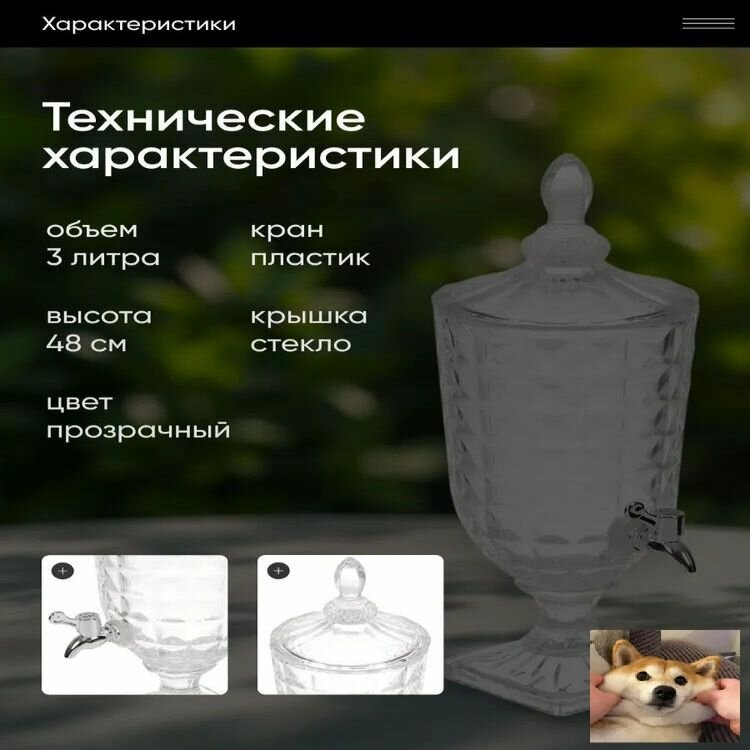 Диспенсер для напитков, 3 л — фото 1