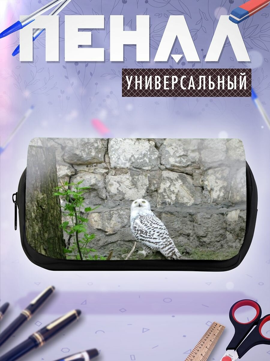 Школьный пенал птица клюв