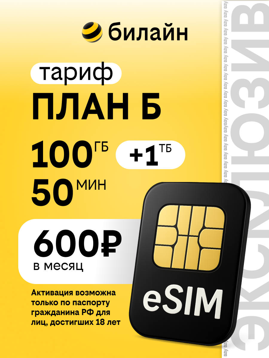 ESIM Билайн «План Б» 100 ГБ + 1 ТБ, 50 минут, безлимит на соцсети и мессенджеры