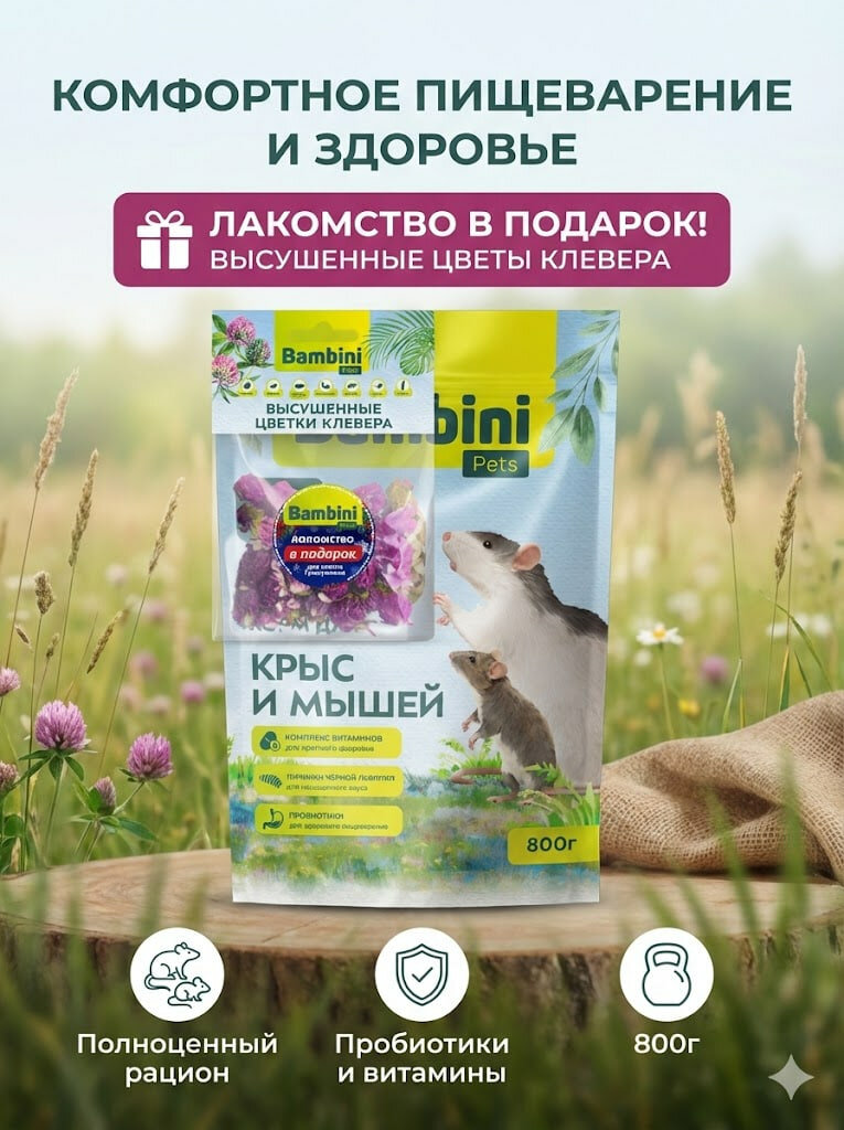 Корм для крыс Bambini Pets, корм + лакомство - цветы клевера в подарок