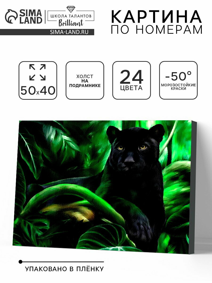 Картина по номерам на холсте с подрамником "Пантера", 40x50 см