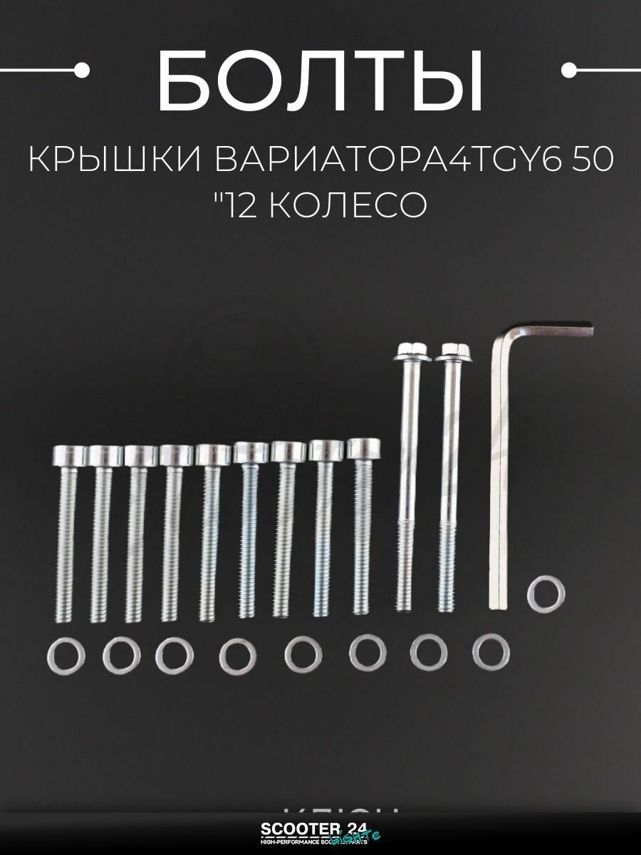 Болты крышки вариатора на китайский 4T мотоцикл и скутер GY6 50 кубов (12 колесо) (шестигранный шлиц, 11шт +ключ) SHUK"BEEZMOTO"