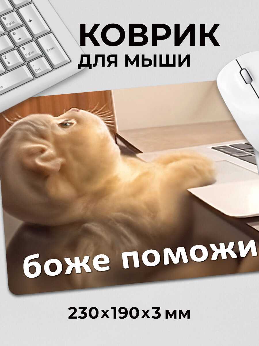 Коврик для мышки с приколом мем кот котик Боже поможи