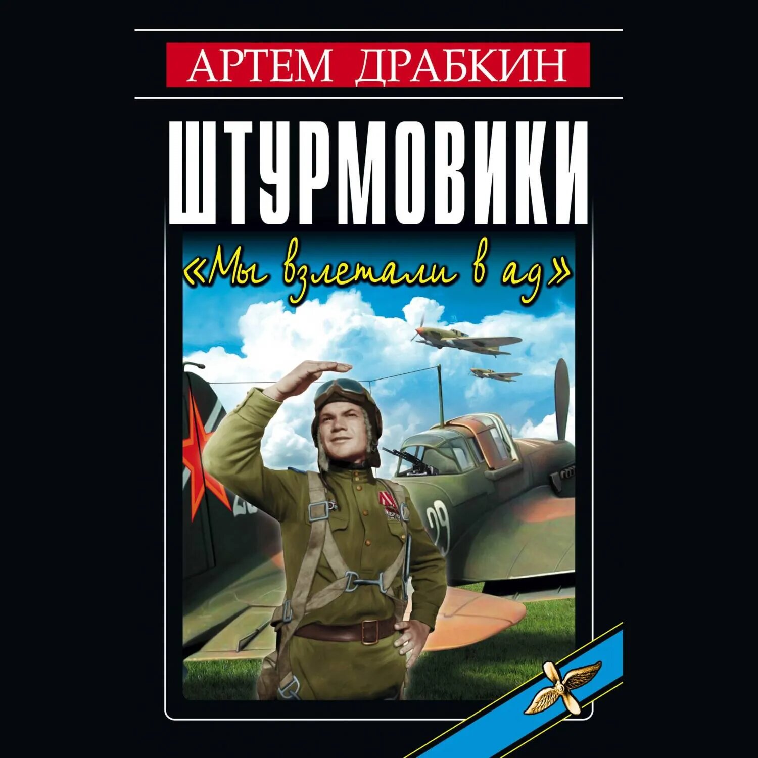 Штурмовики. «Мы взлетали в ад» [Аудиокнига]