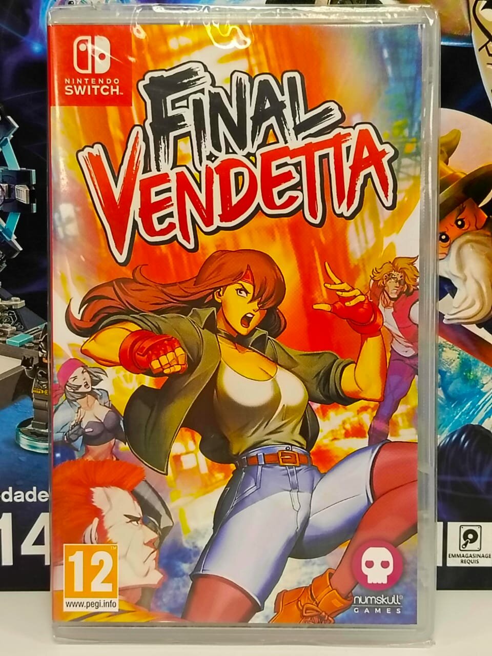 Final Vendetta [Nintendo Switch, английская версия](SPC)