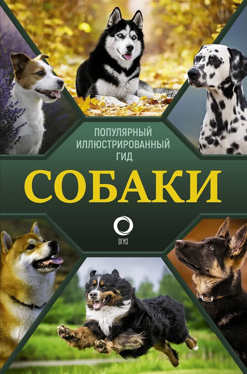 Научно-популярное издание АСТ Собаки Популярный иллюстрированный гид Барановская И. Г Вайткене Л. Д Хомич Е. О 2022 г