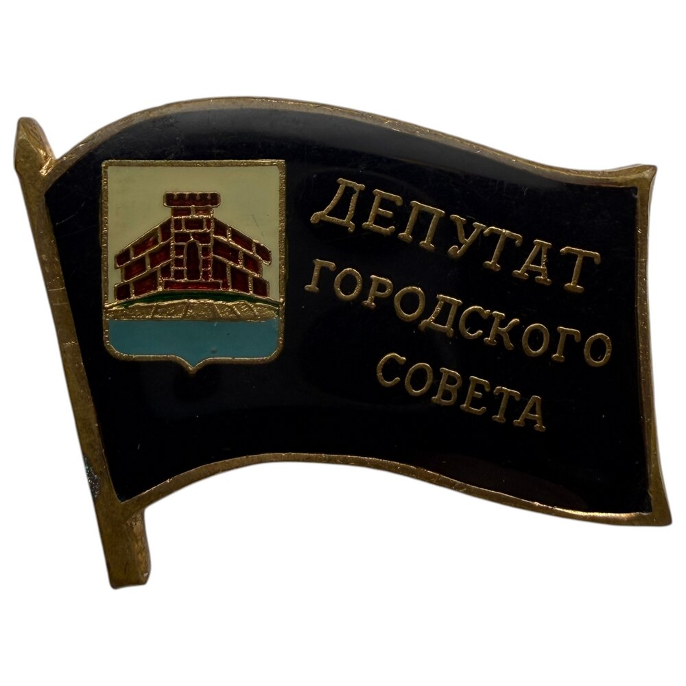 Знак "Депутат городского совета города Задонск" Россия 2000-2010 гг.