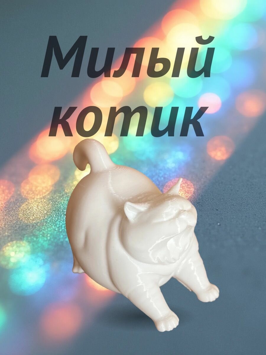 Зевающий кот белый