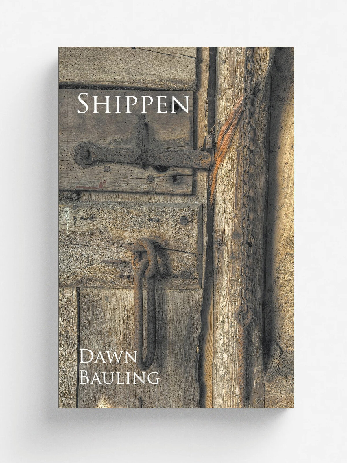 Shippen