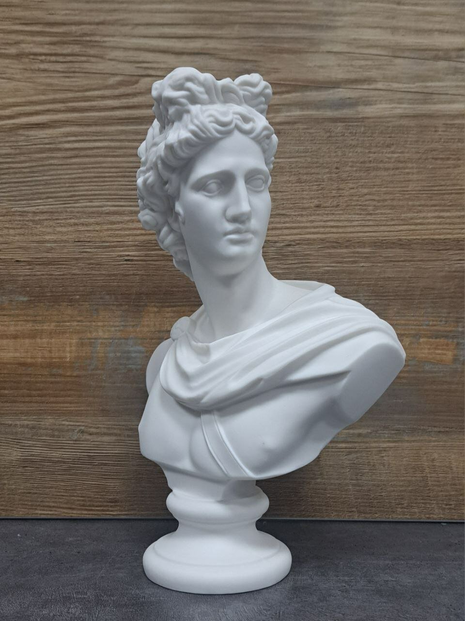 Фарфоровый бюст Аполлон, высокопрочный фарфор, обжиг 1300 градусов,250 мм.