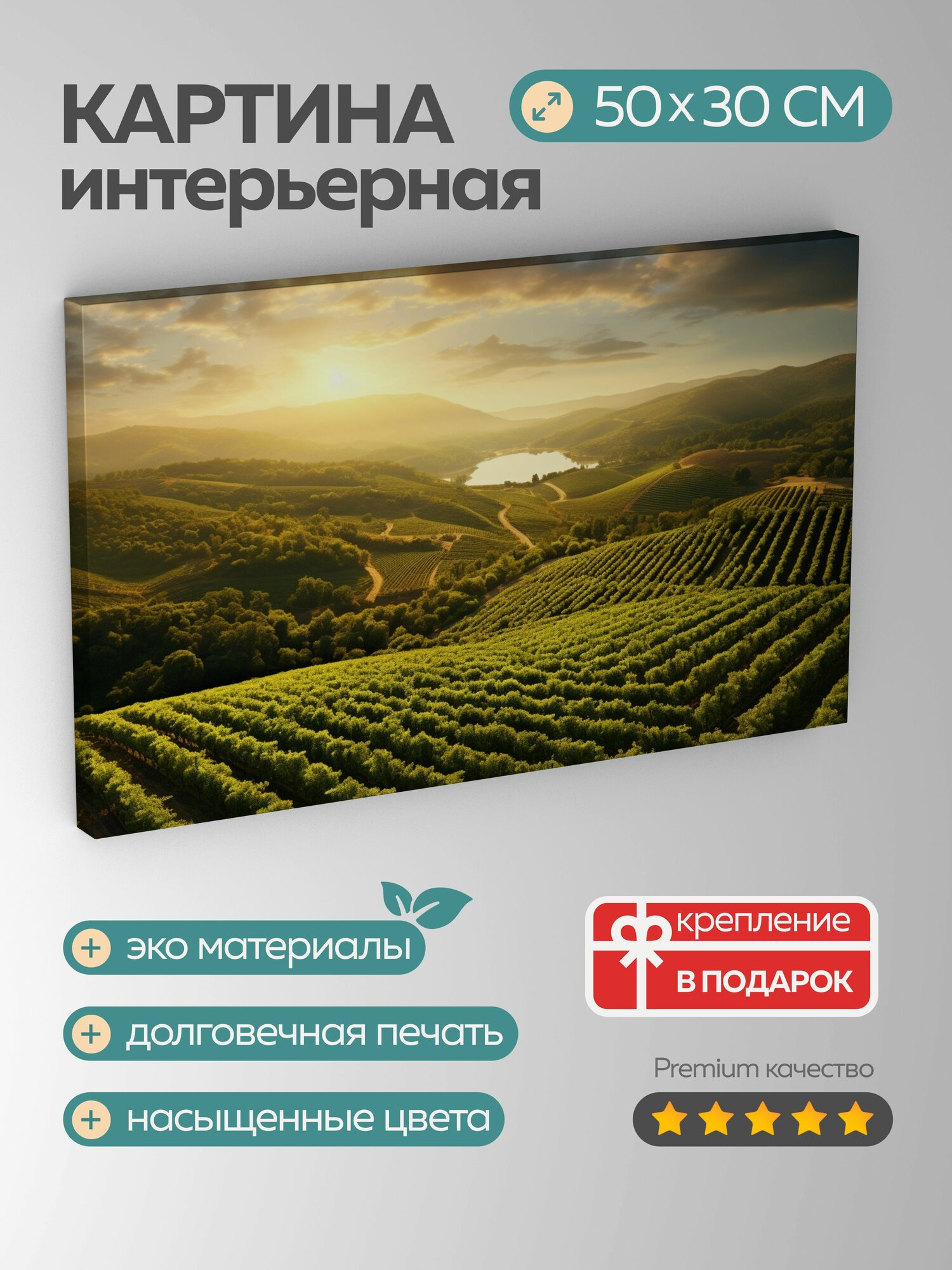 Картина на холсте интерьерная 50х30 см, снимок, виноградник, птичий полет, рассвет, виноградные лозы, пышная листва