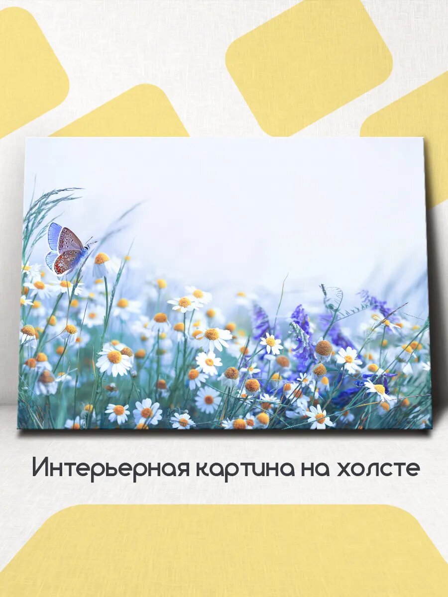 Картина на стену интерьерная Ромашковое поле 40x30 см