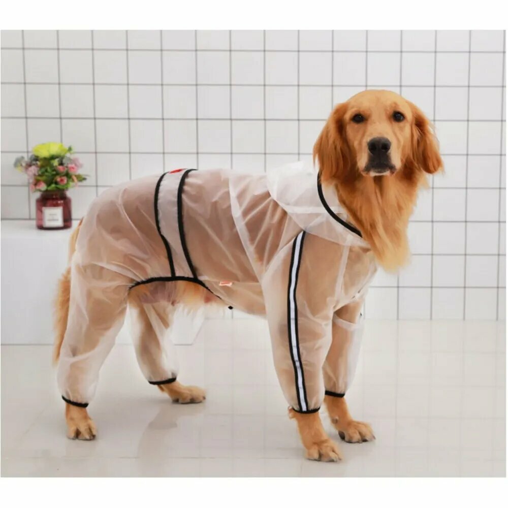 Дождевик для собак "все включено"/прозрачный с капюшоном/для средних и крупных собак