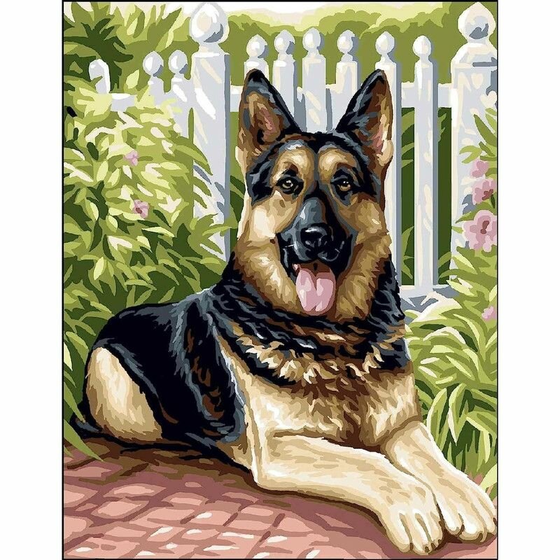 Картина по номерам КНР Овчарка, роспись по холсту, 40х50 см, в коробке